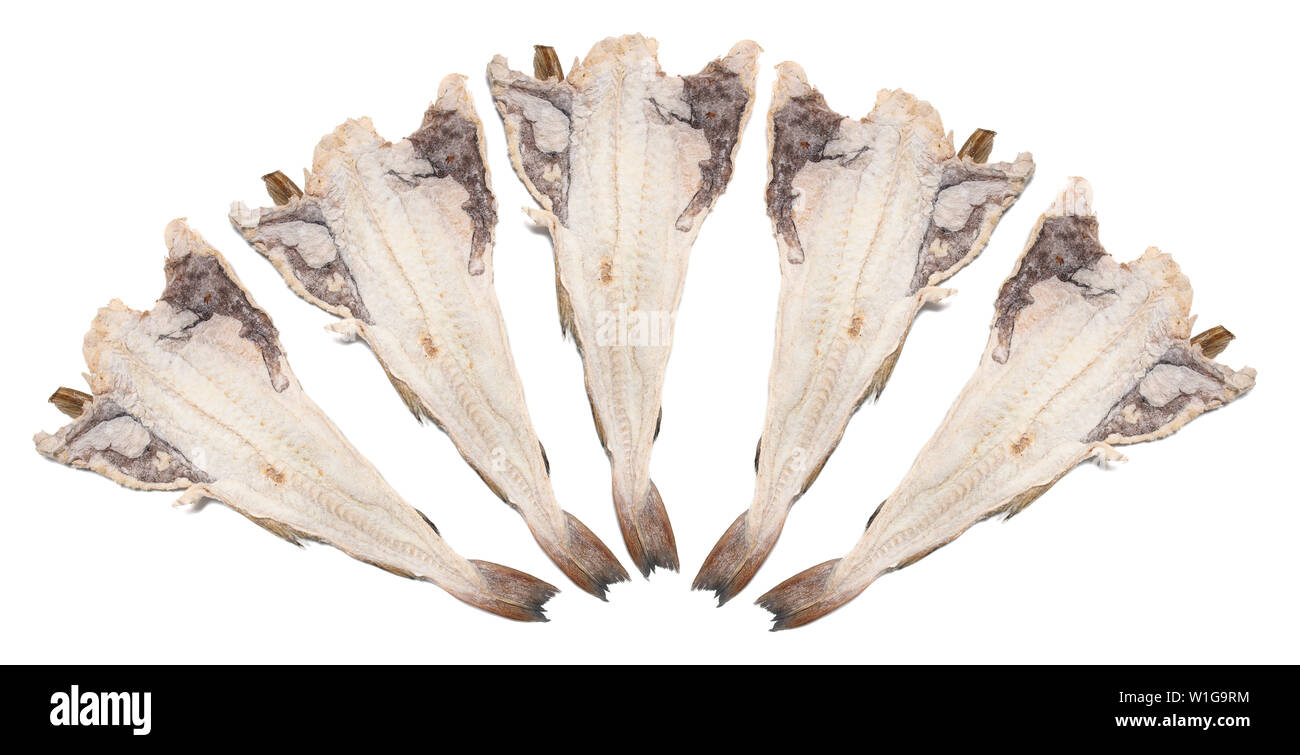 Close up view of a portuguese salted codfish isolated on white ...