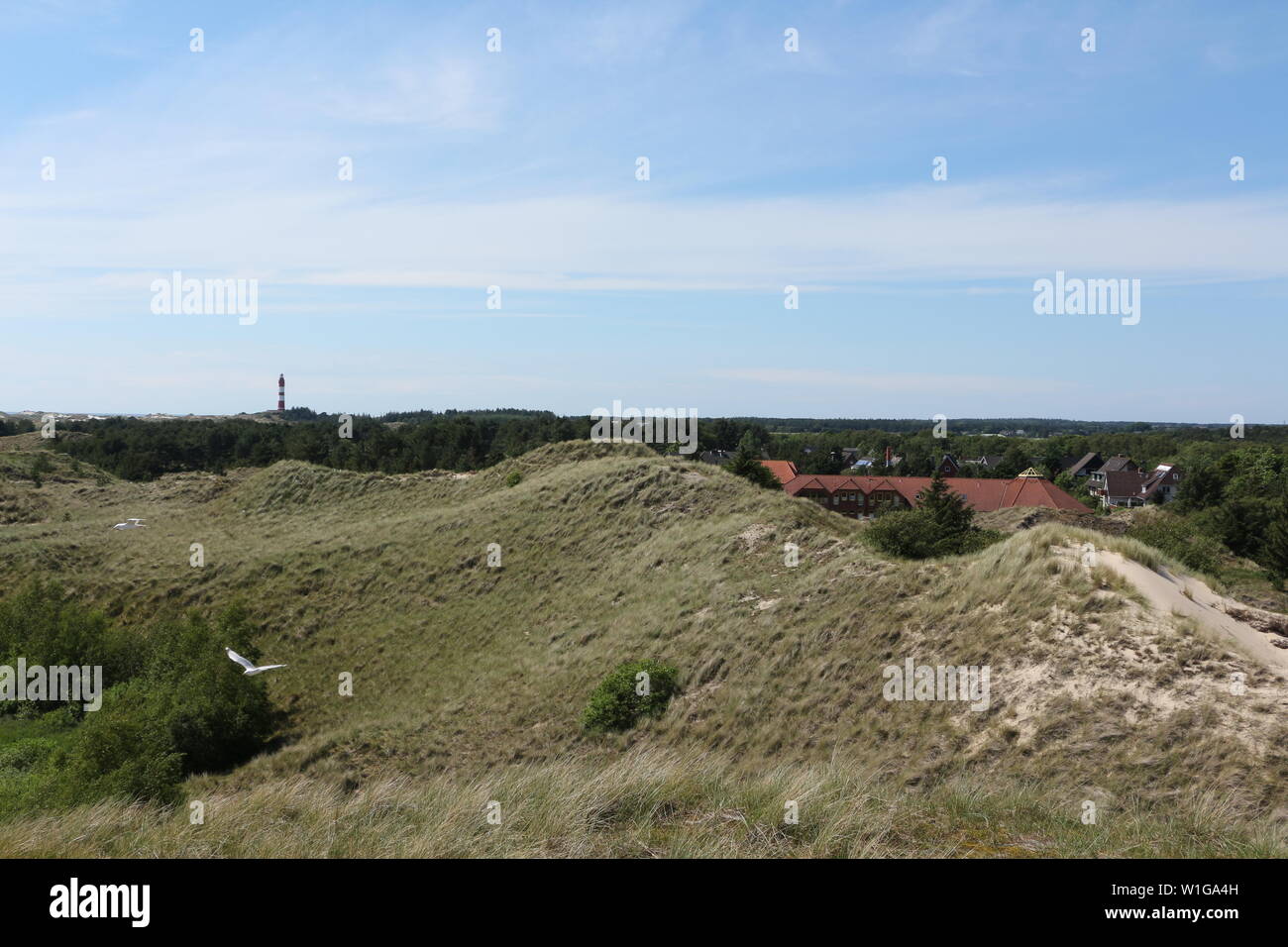 Sommer auf der Nordseeinsel Amrum Stock Photo - Alamy