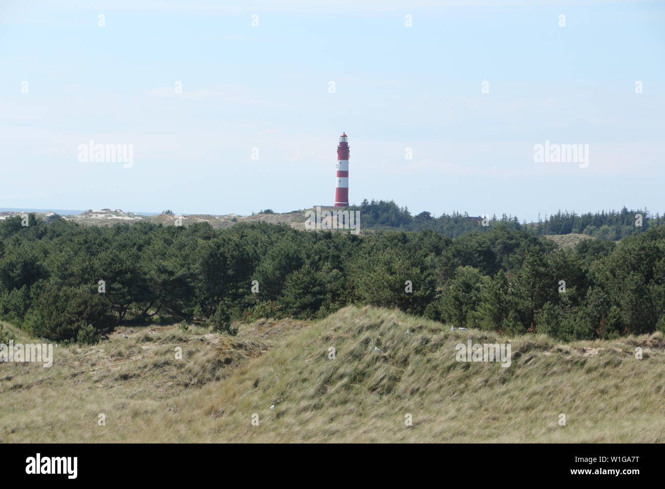Sommer auf der Nordseeinsel Amrum Stock Photo - Alamy