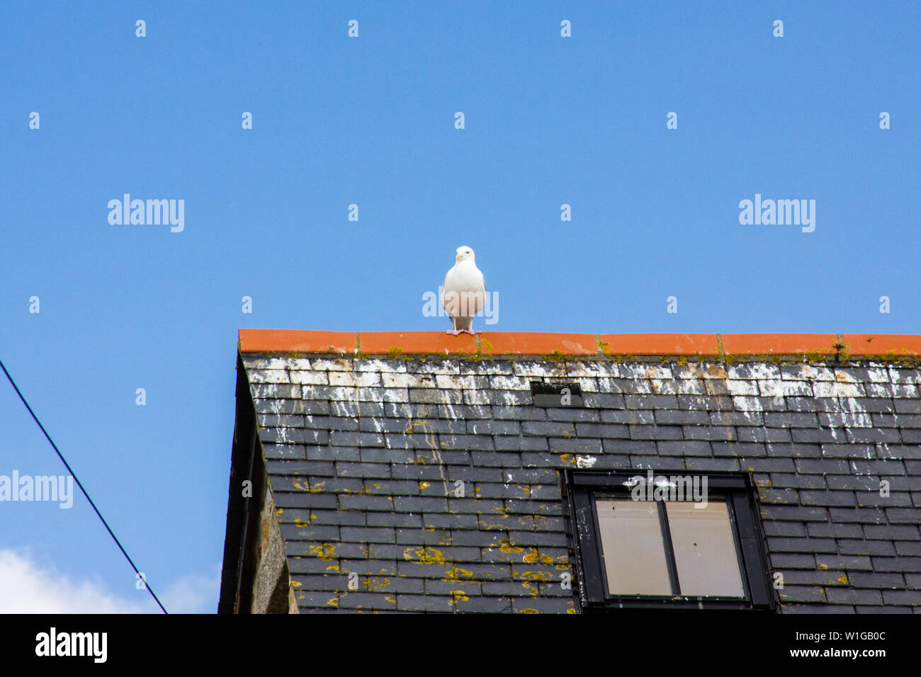 Roof house architecture hi-res stock photography and images - Alamy
