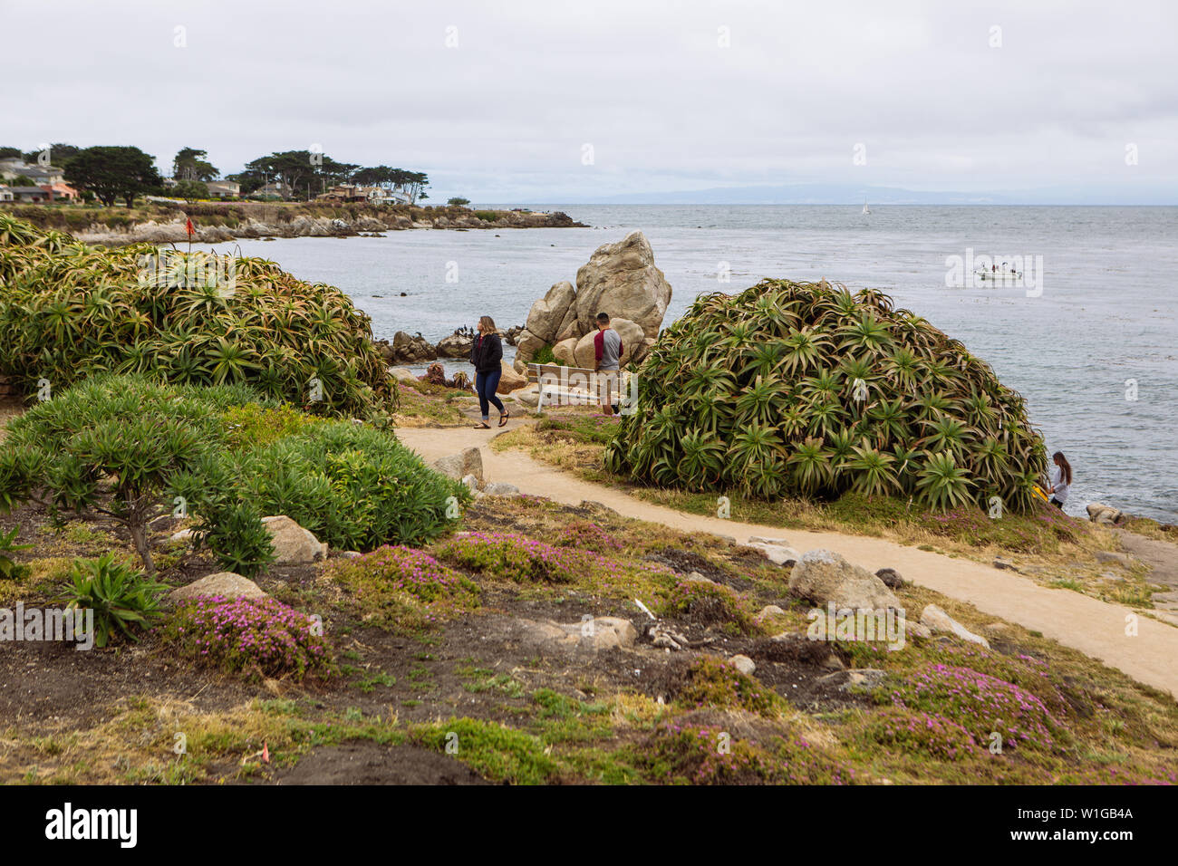 Asilomar State beach trail in Carmel by the Sea, Monterrey, California ...