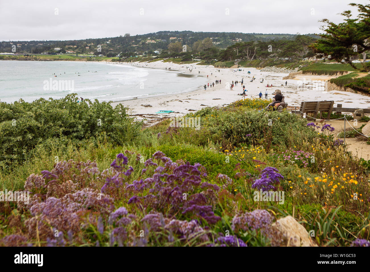 Asilomar State beach in Carmel by the Sea, Monterrey, California, USA ...