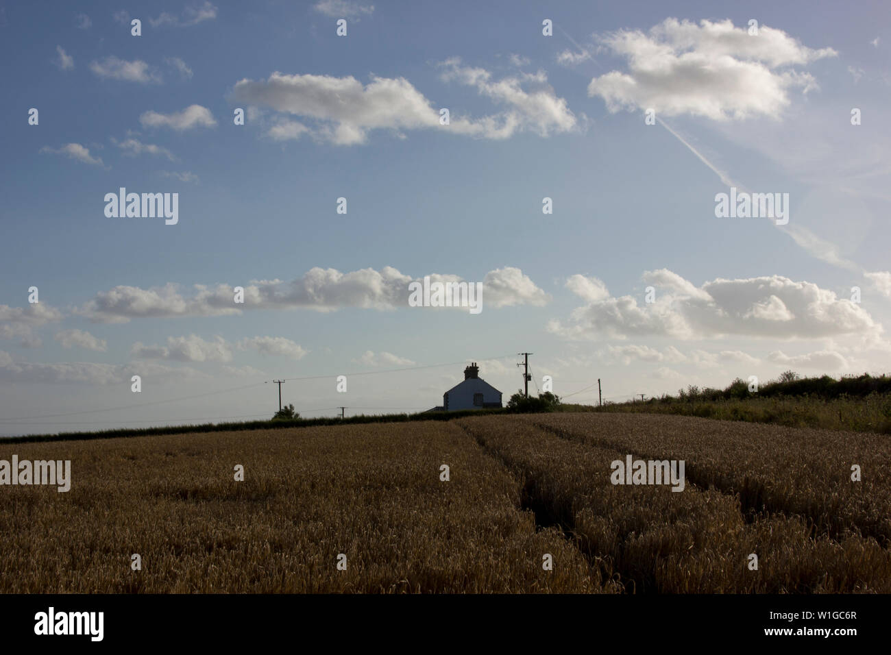 Agriculture cropland landscape hi-res stock photography and images - Alamy