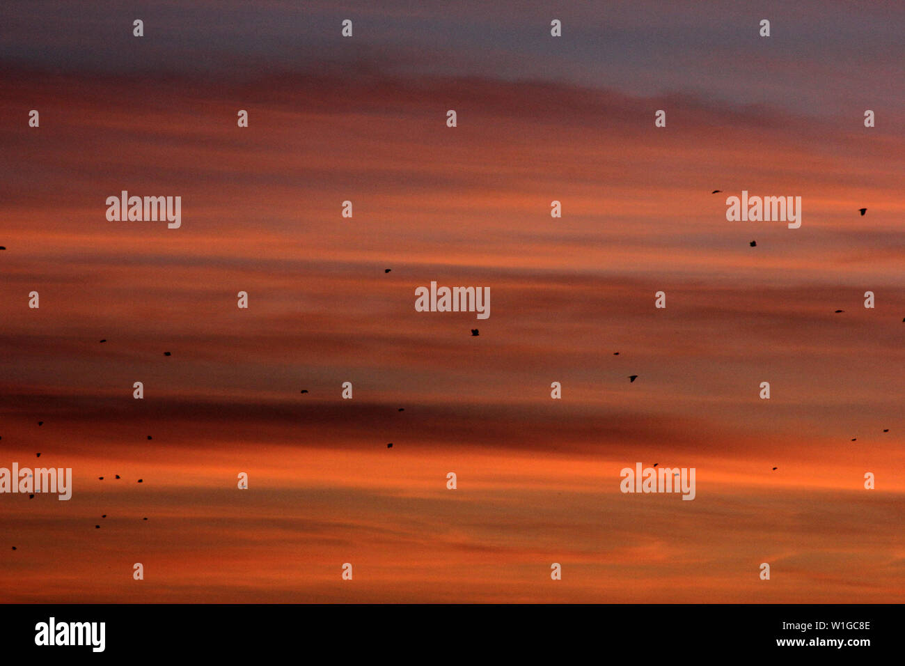 sky sun evening sunset dawn Stock Photo - Alamy