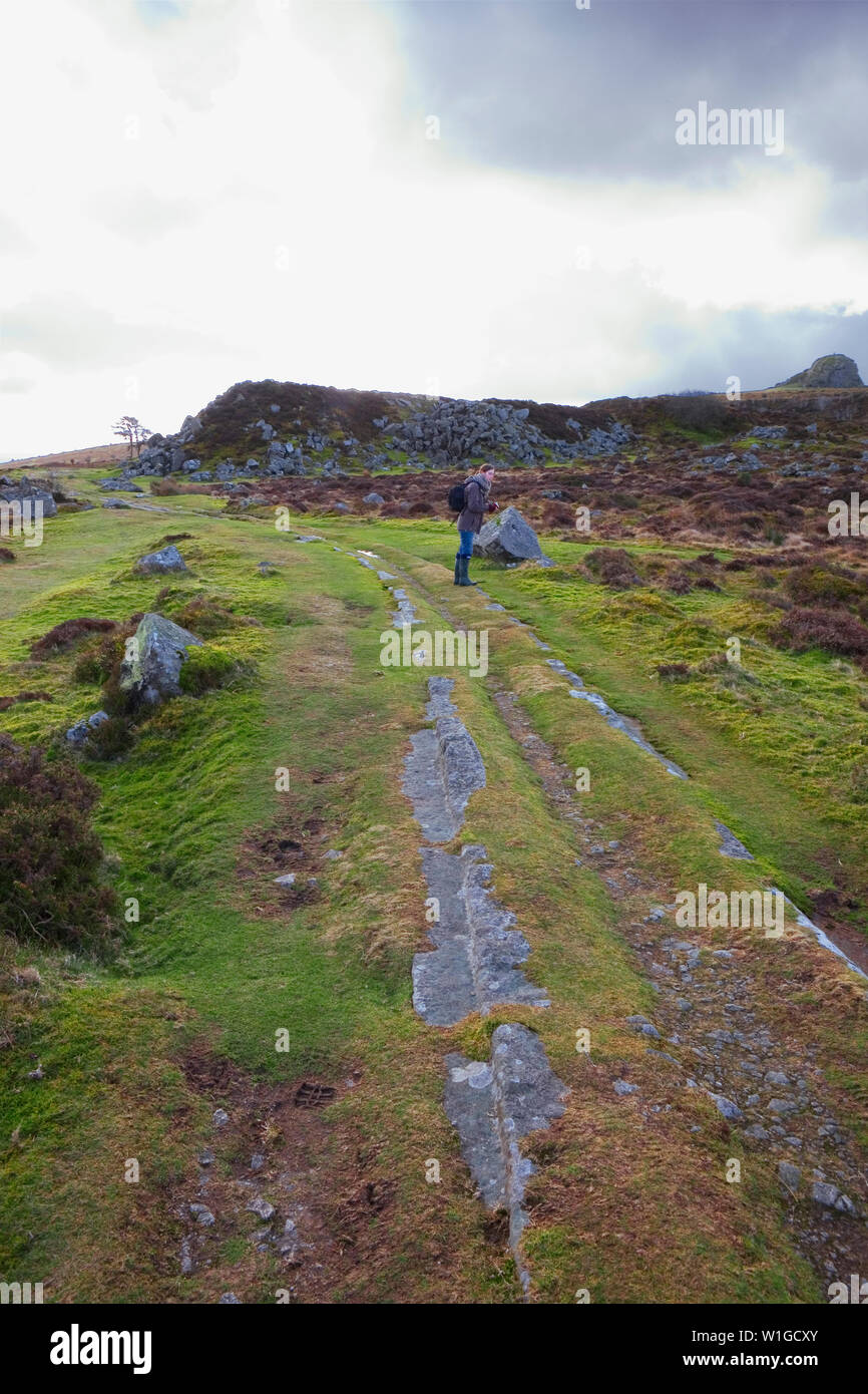 Haytor Granite Tramway, Haytor Down, Dartmoor, Devon, UK. MODEL ...