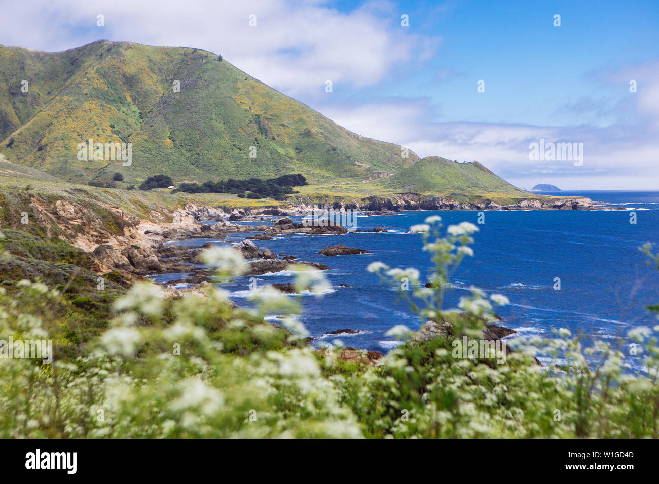 Landscape Weston Beach Point Lobos, Monterrey, California, USA Stock ...