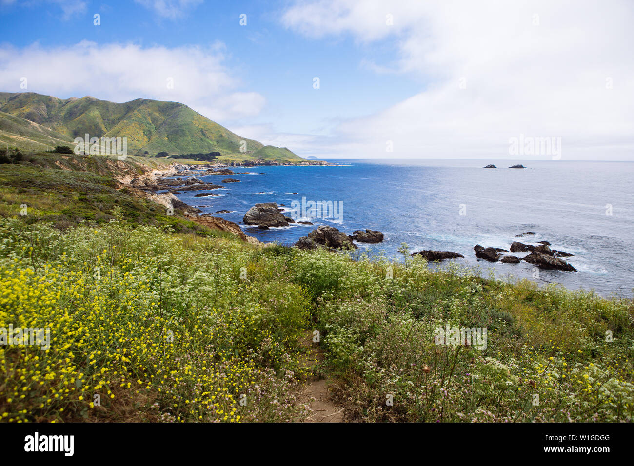 Landscape Weston Beach Point Lobos, Monterrey, California, USA Stock ...