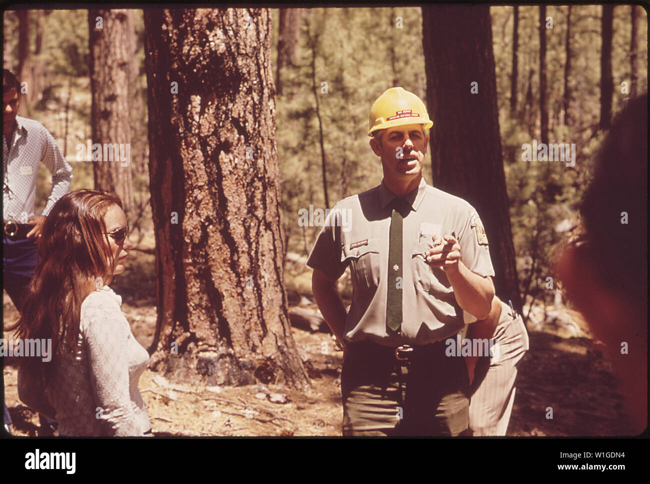 MEMBERS OF THE SOUTH PINE ASSOCIATION TAKE A TOUR OF A FOREST ...