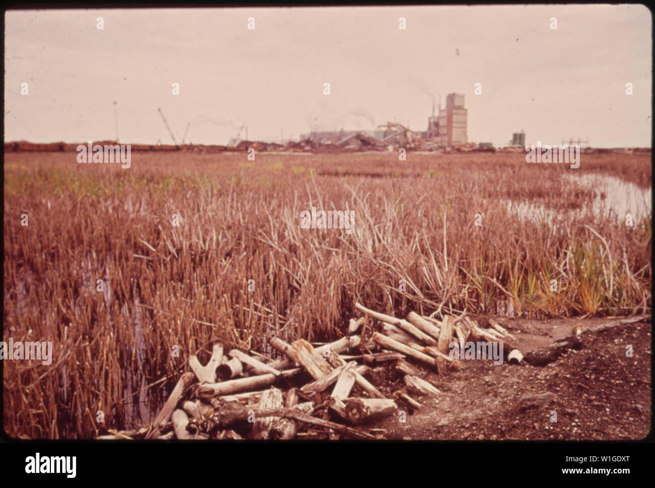 MERCURY WASTE FROM THE BRUNSWICK PULP AND PAPER PLANT (IN BACKGROUND ...