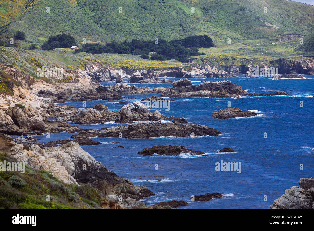 Landscape Weston Beach Point Lobos, Monterrey, California, USA Stock ...