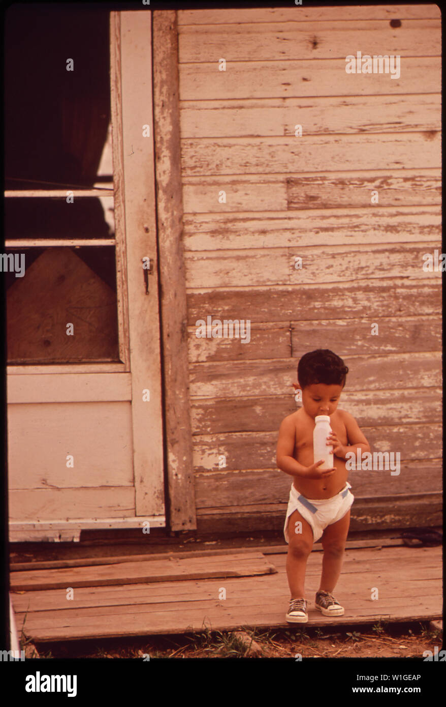MIGRANT BABY IN FRONT OF TWO ROOM SHACK, WHERE THREE FAMILIES ...