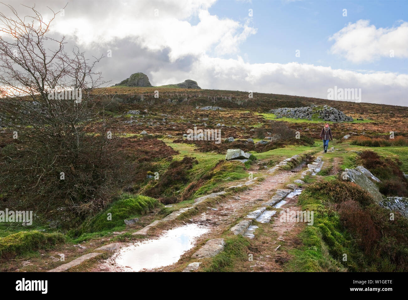 Haytor Granite Tramway, Haytor Down, Dartmoor, Devon, UK, with Haytor ...
