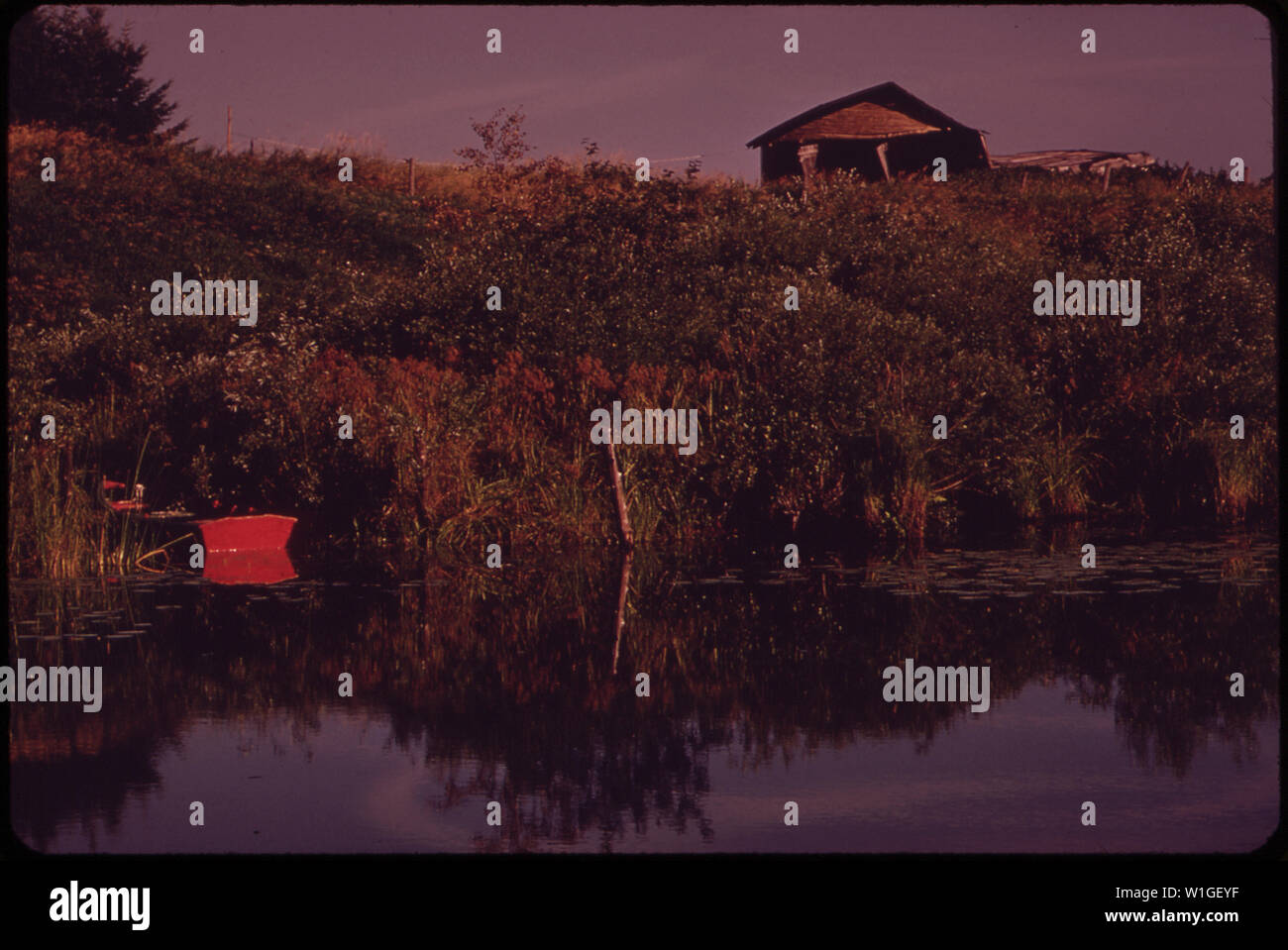 MOEN LAKE--ONE OF THE MANY CONNECTED LAKES OF THE 11,815 SQUARE MILE ...