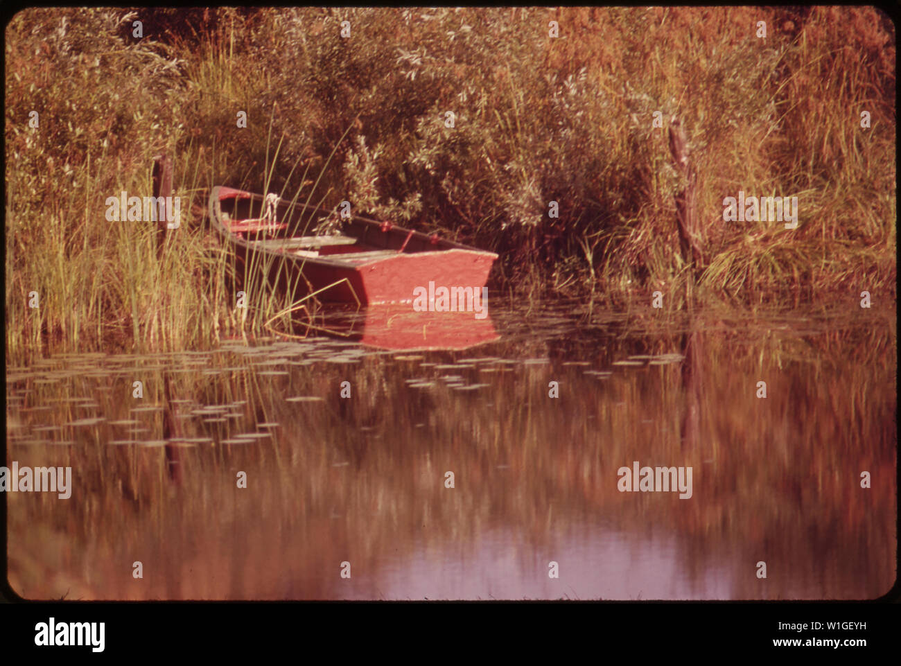 MOEN LAKE--ONE OF THE MANY CONNECTED LAKES OF THE 11,815 SQUARE MILE ...