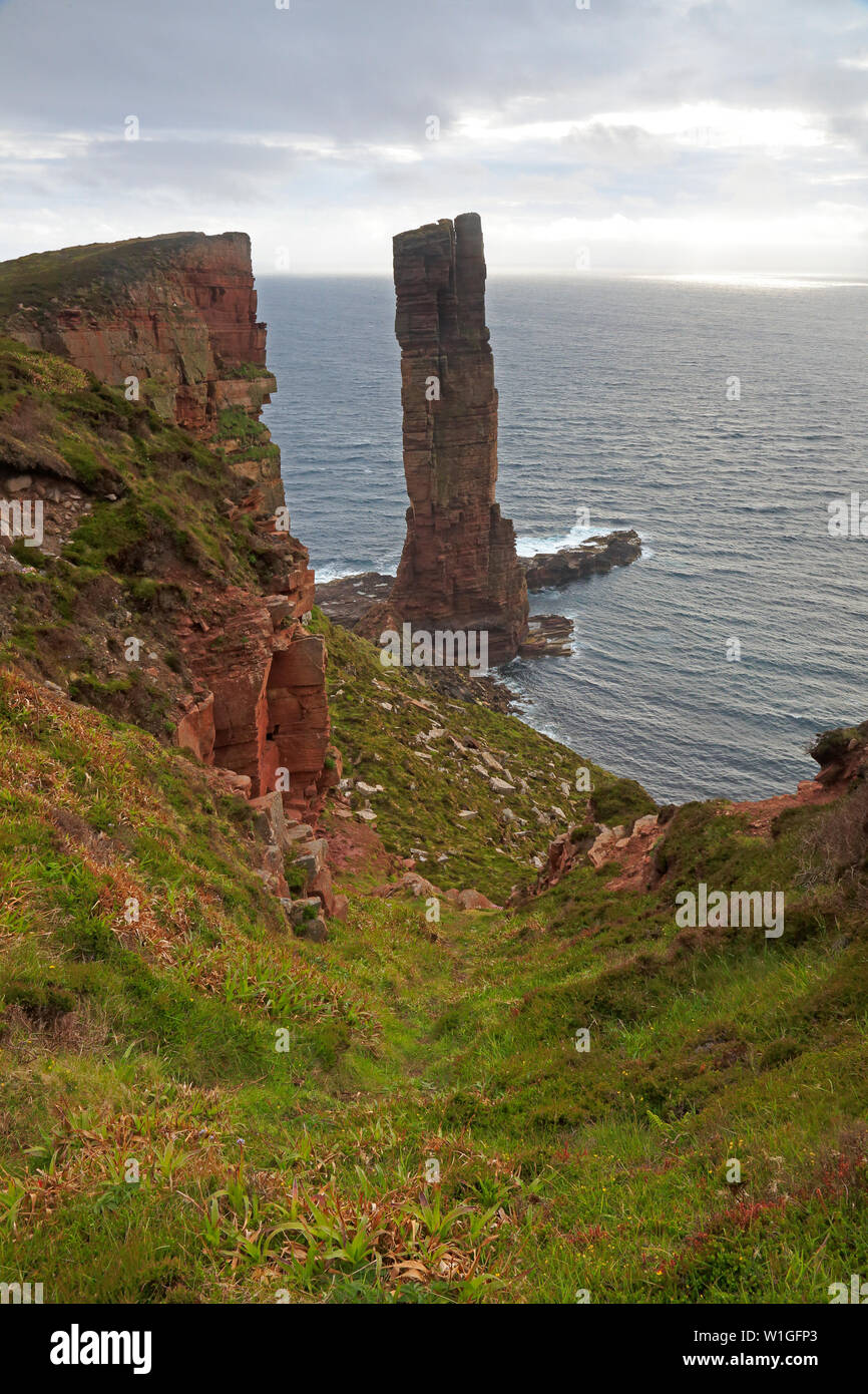 View of the Old Man of Hoy Orkney Scotland Stock Photo - Alamy
