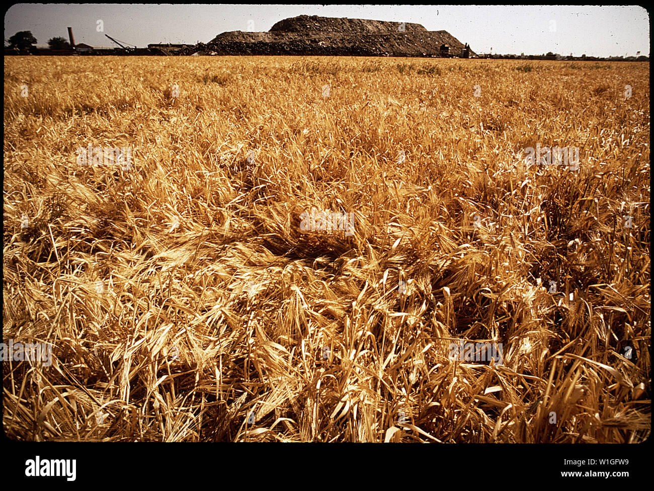 Soil covered trash dump hi-res stock photography and images - Alamy