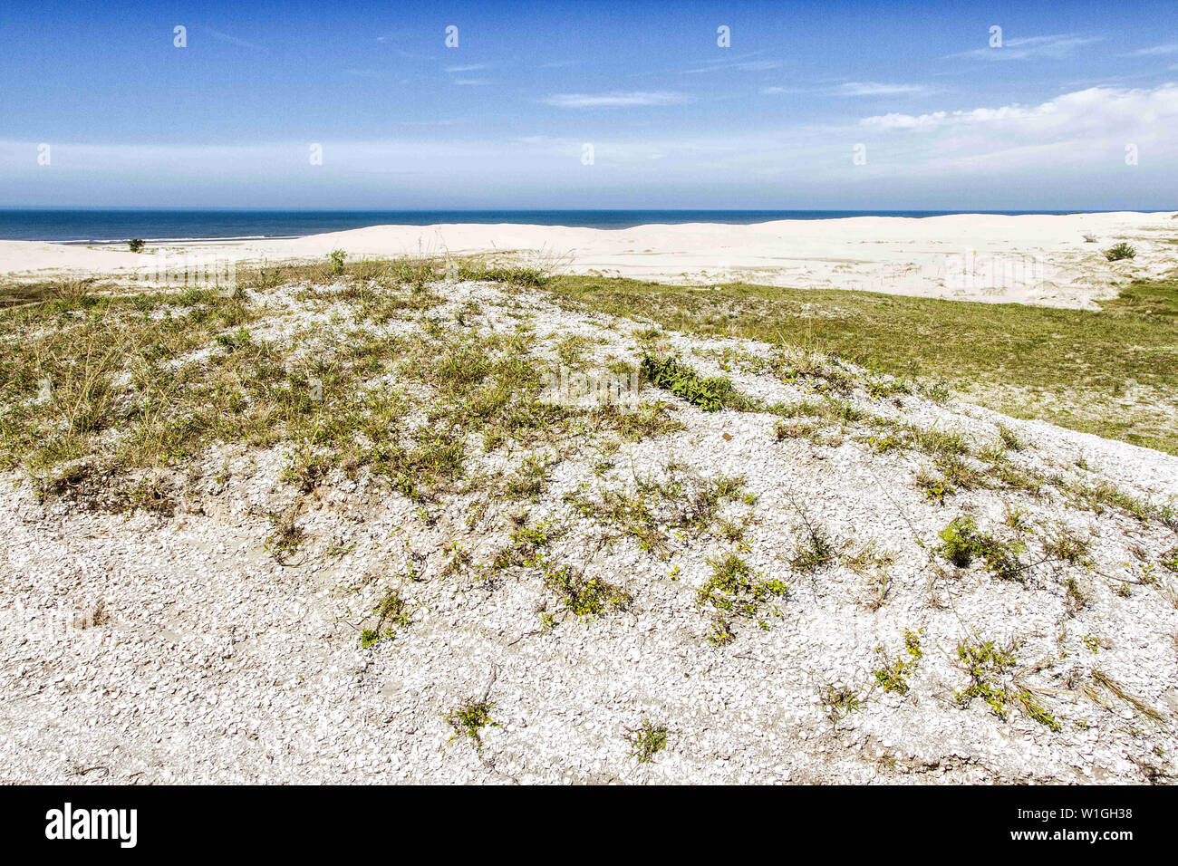Shell Midden High Resolution Stock Photography and Images - Alamy