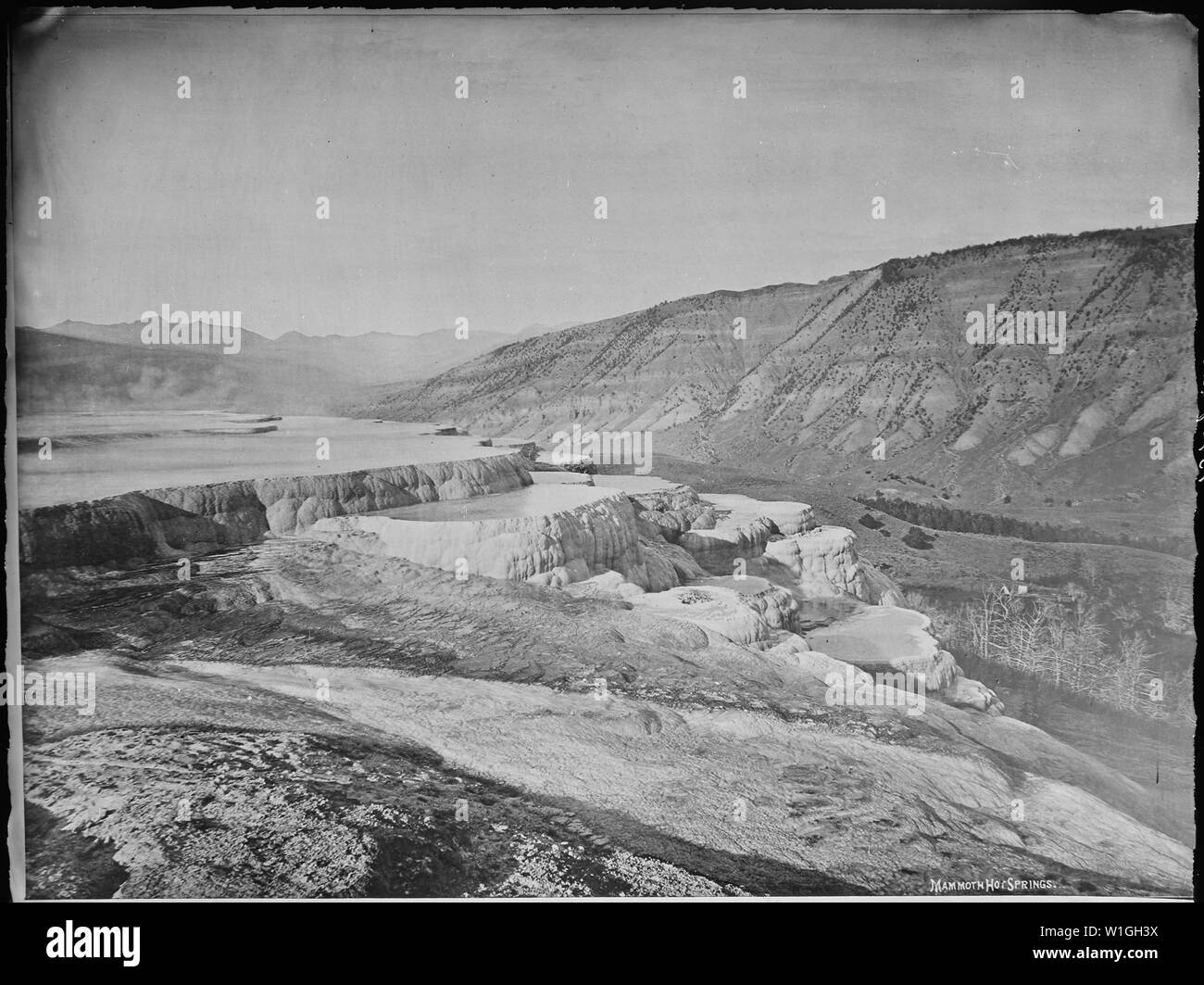 Mammoth Hot Springs, Jupiter Terrace from above. Yellowstone Stock ...