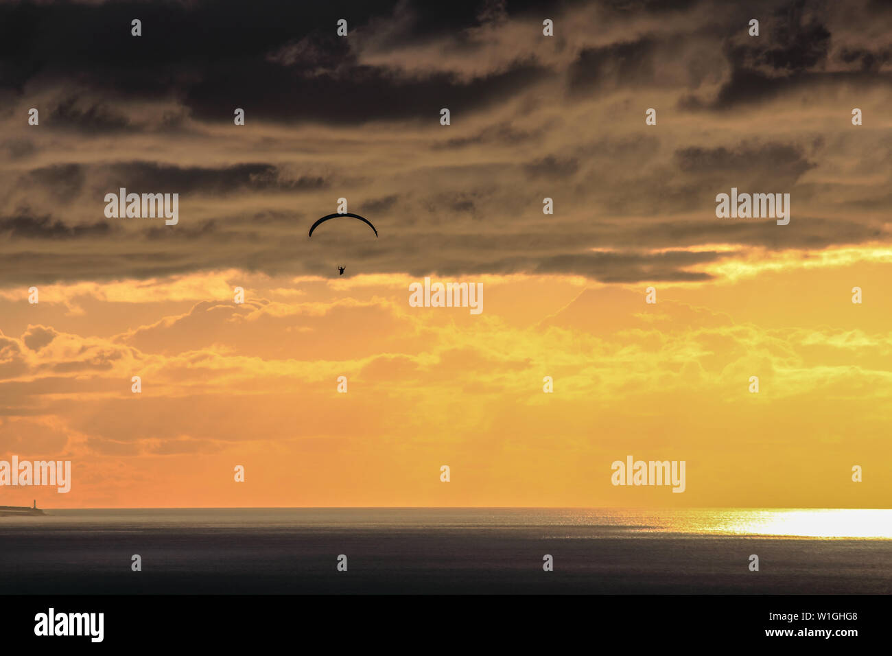 Flying free concept hi-res stock photography and images - Alamy