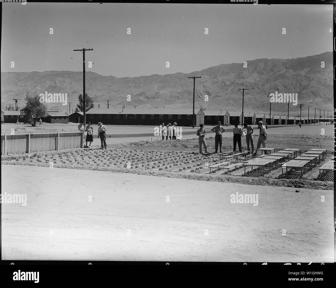 Doctor emerson hi-res stock photography and images - Alamy