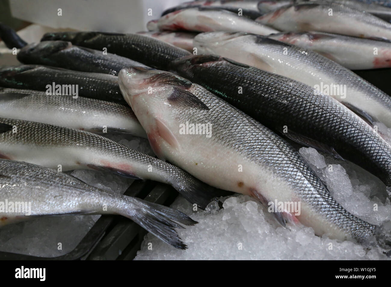 Different sea fish at a fish market in Croatia Stock Photo - Alamy