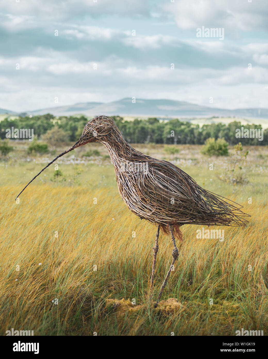 Giant straw bird hi-res stock photography and images - Alamy