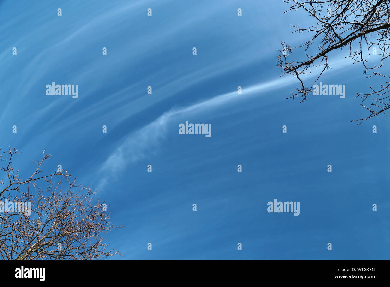 Dramatic blue sky trough tree branches at autumn Stock Photo - Alamy