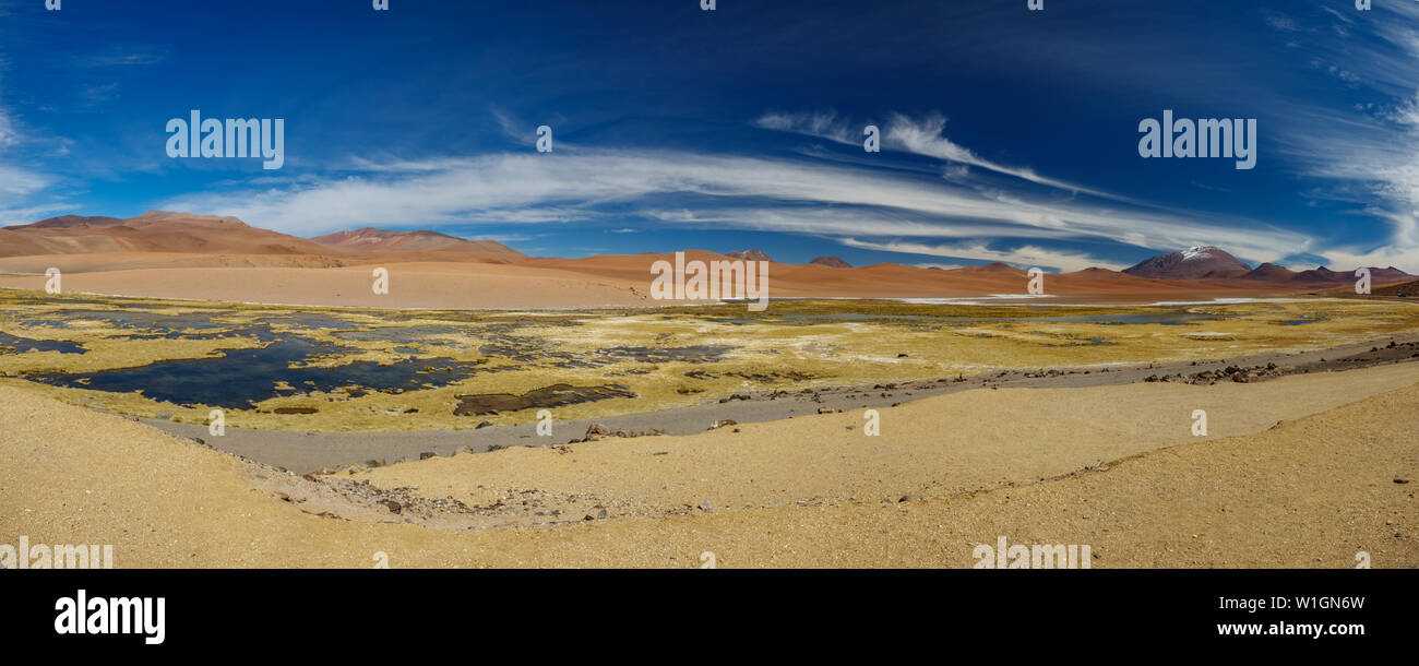 Typical highlands lagoon in Atacama desert, Chile Stock Photo - Alamy