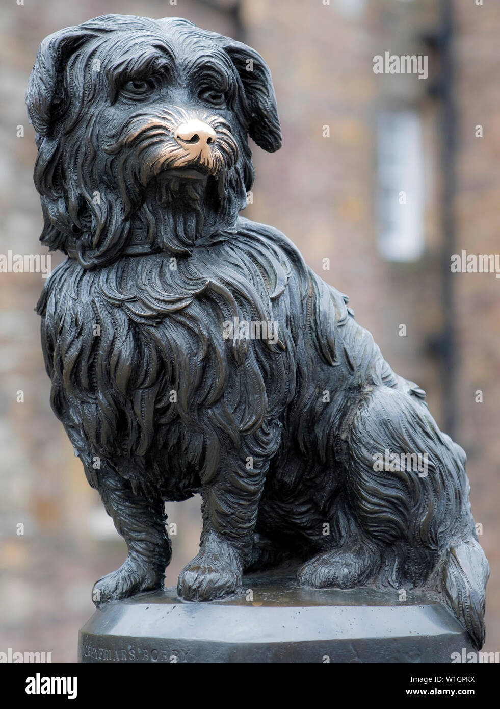Greyfriars Bobby, Edinburgh, Scotland, Europe Stock Photo - Alamy