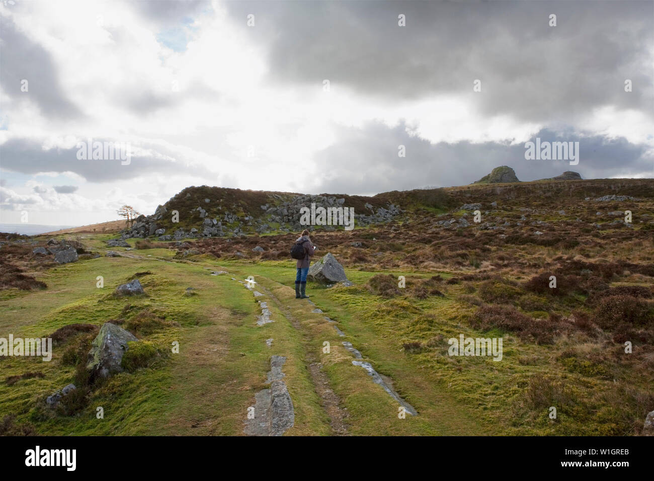 Haytor Granite Tramway, Haytor Down, Dartmoor, Devon, UK. MODEL ...