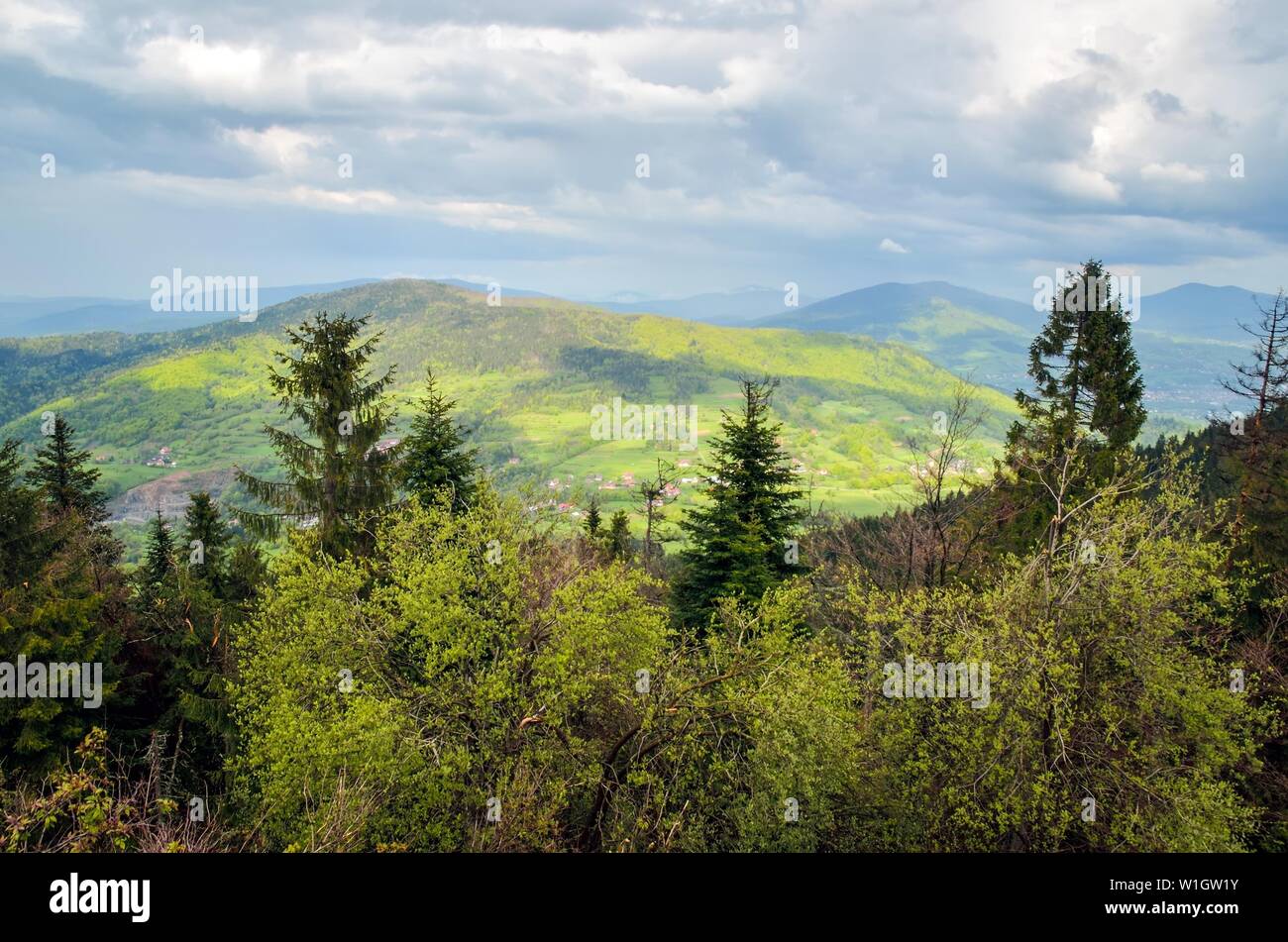 Beautiful spring green landscape. View of the beautifully lit green ...