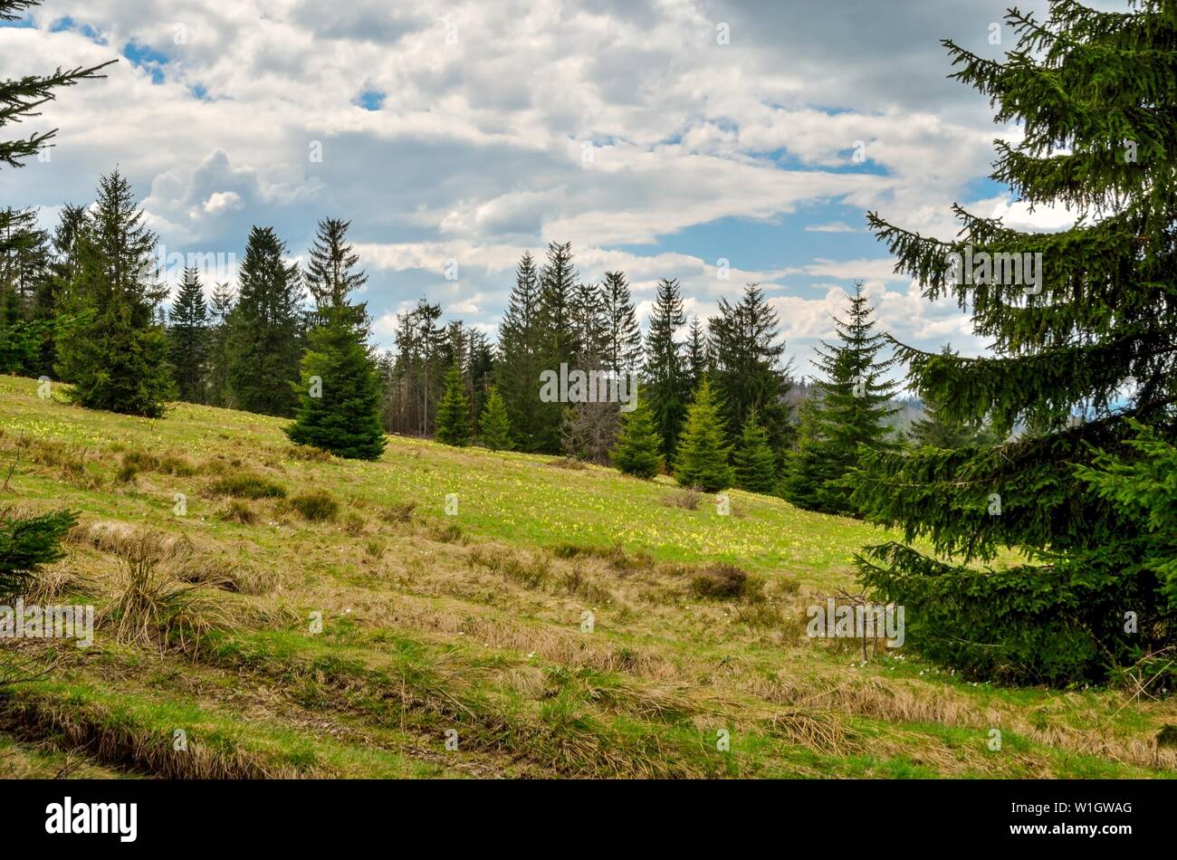 Beautiful landscape on spring mountain hi-res stock photography and ...