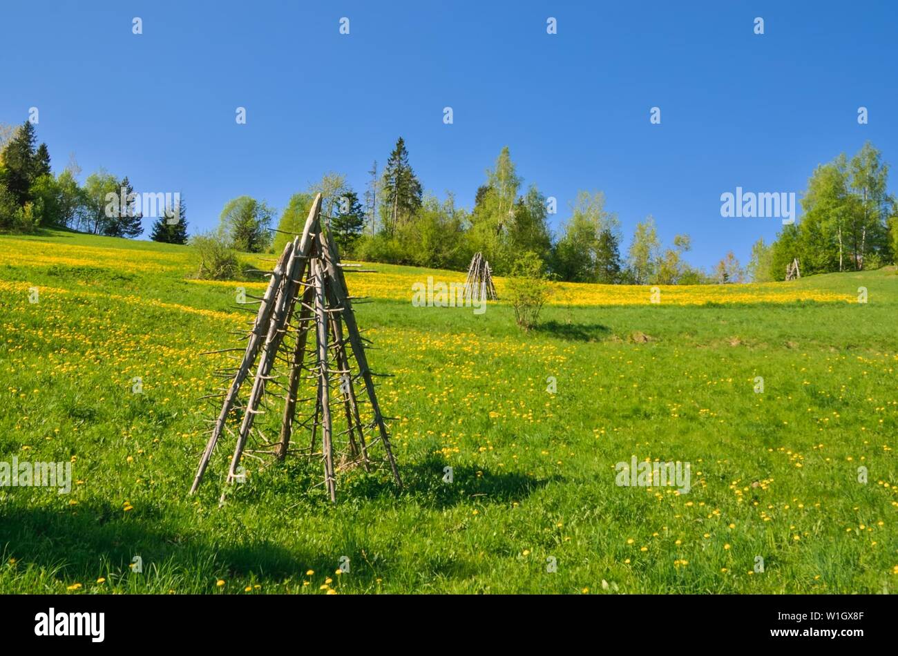 Polish rural landscape hi-res stock photography and images - Alamy