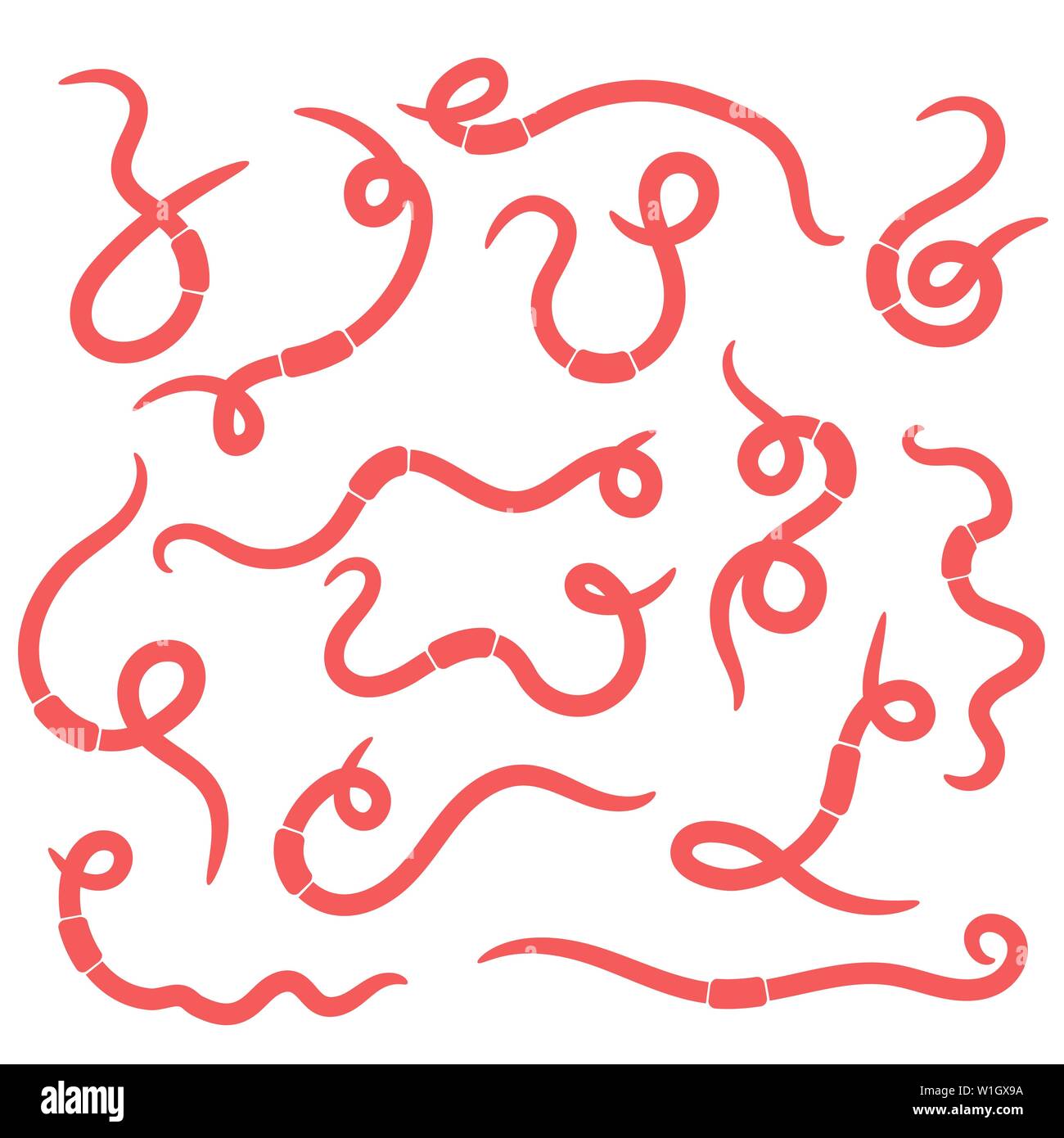 Animal Earth Red Worms for Fishing on White Background Stock Vector ...