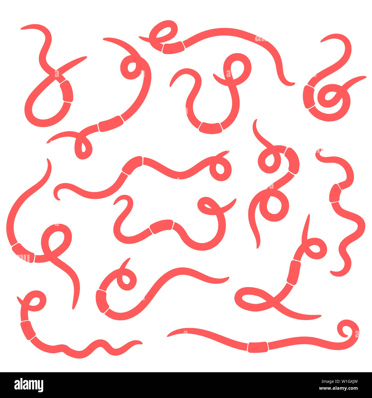 Animal Earth Red Worms for Fishing on White Background Stock Photo - Alamy