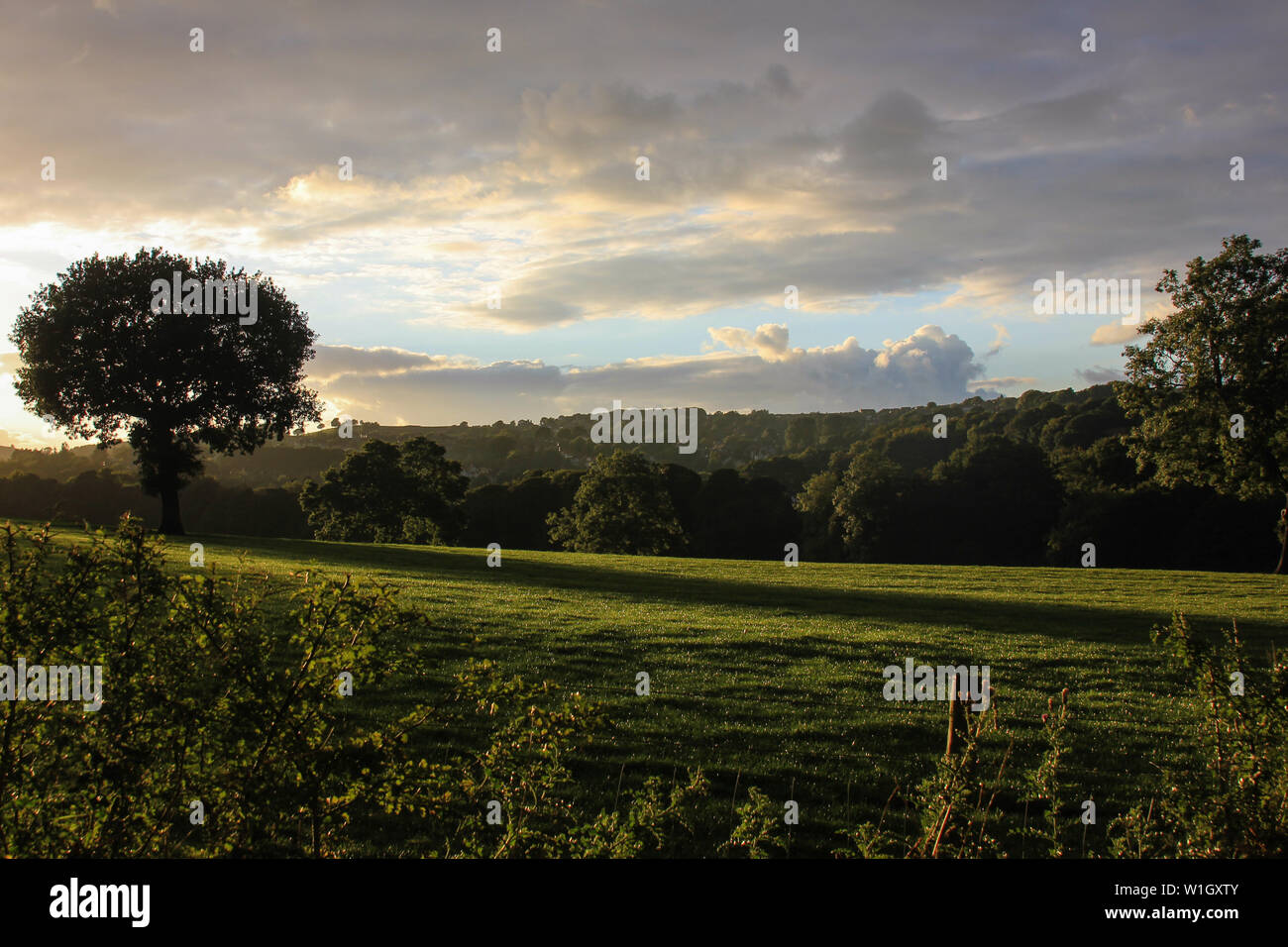 dawn tree cropland sky landscape Stock Photo - Alamy