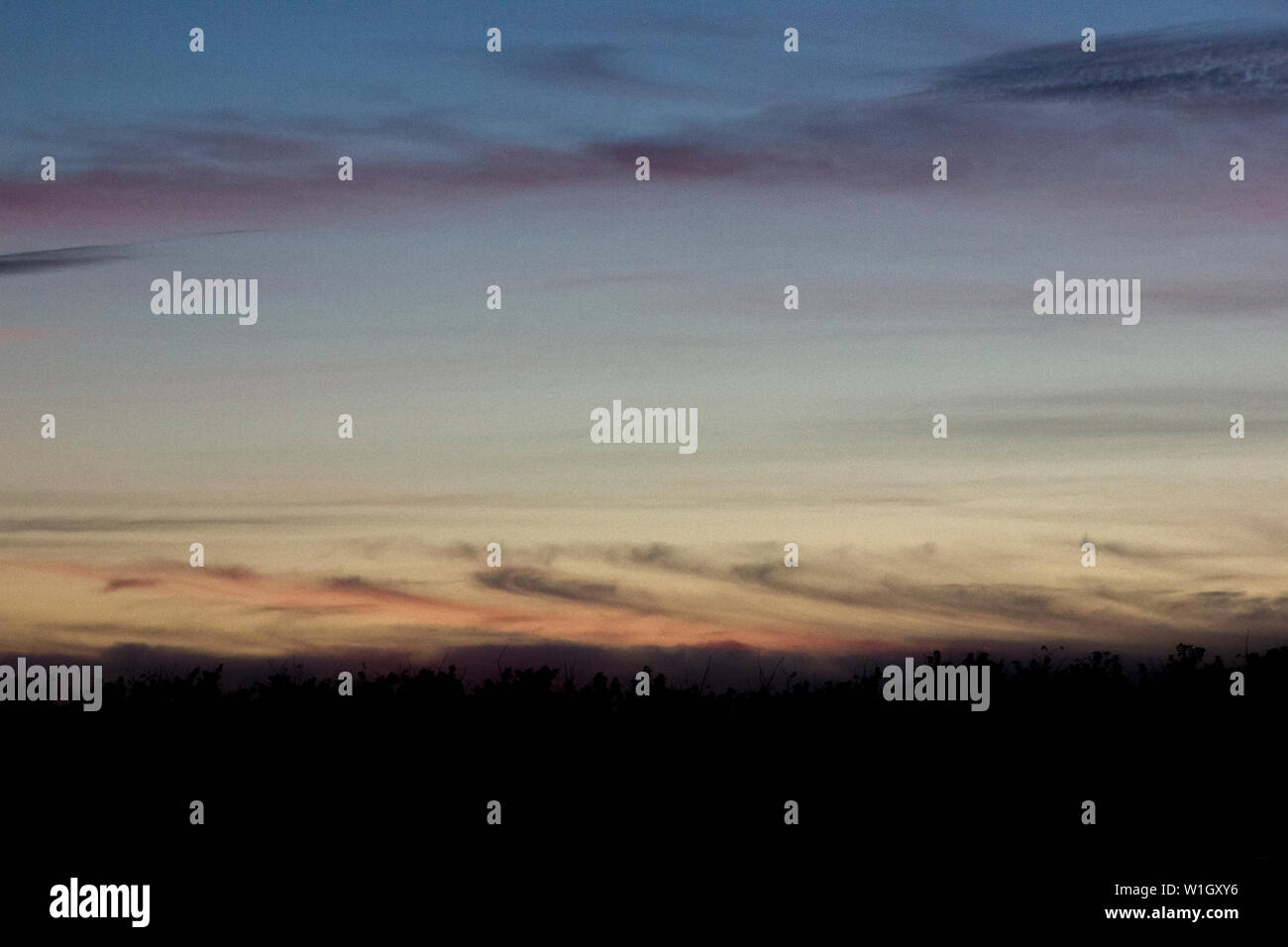 nature light sun dusk fog Stock Photo - Alamy