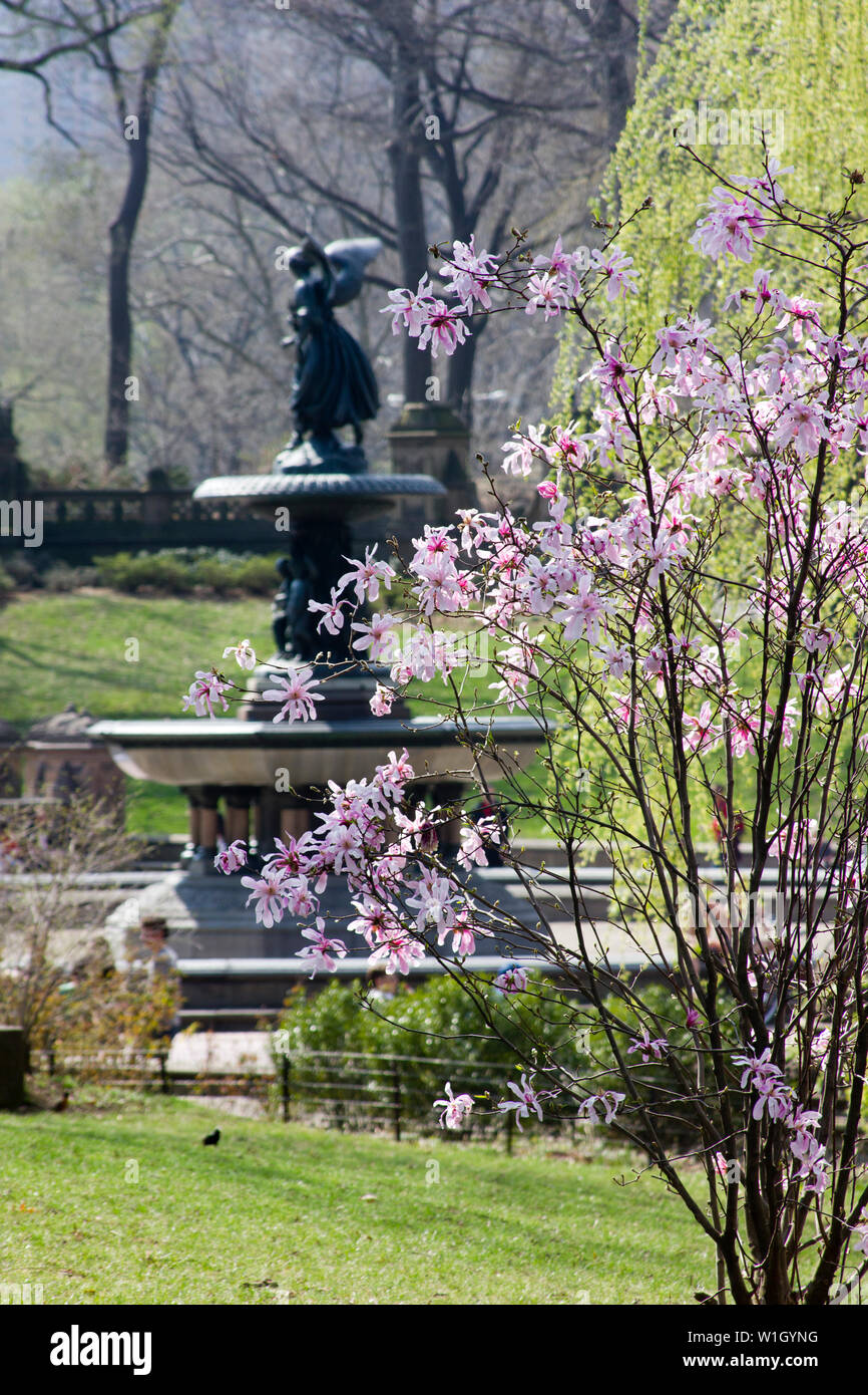flora park tree nature outdoors Stock Photo - Alamy