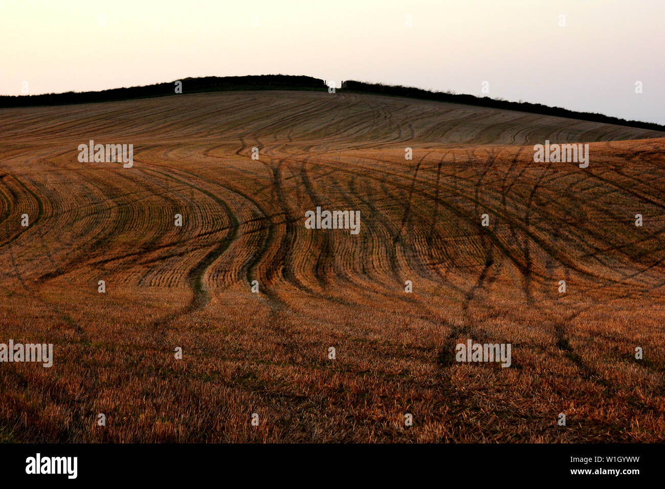 nature landscape cropland agriculture Stock Photo - Alamy