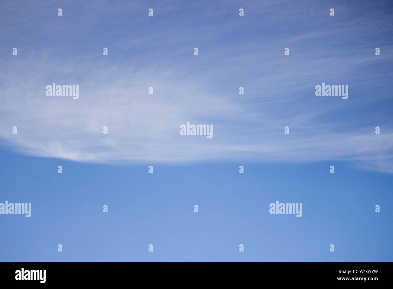 Blue sky with a large white translucent cloud. blue and white in half ...