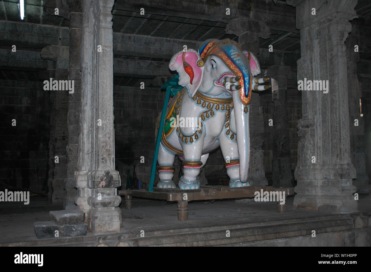 Tamil nadu temple elephant hi-res stock photography and images - Alamy