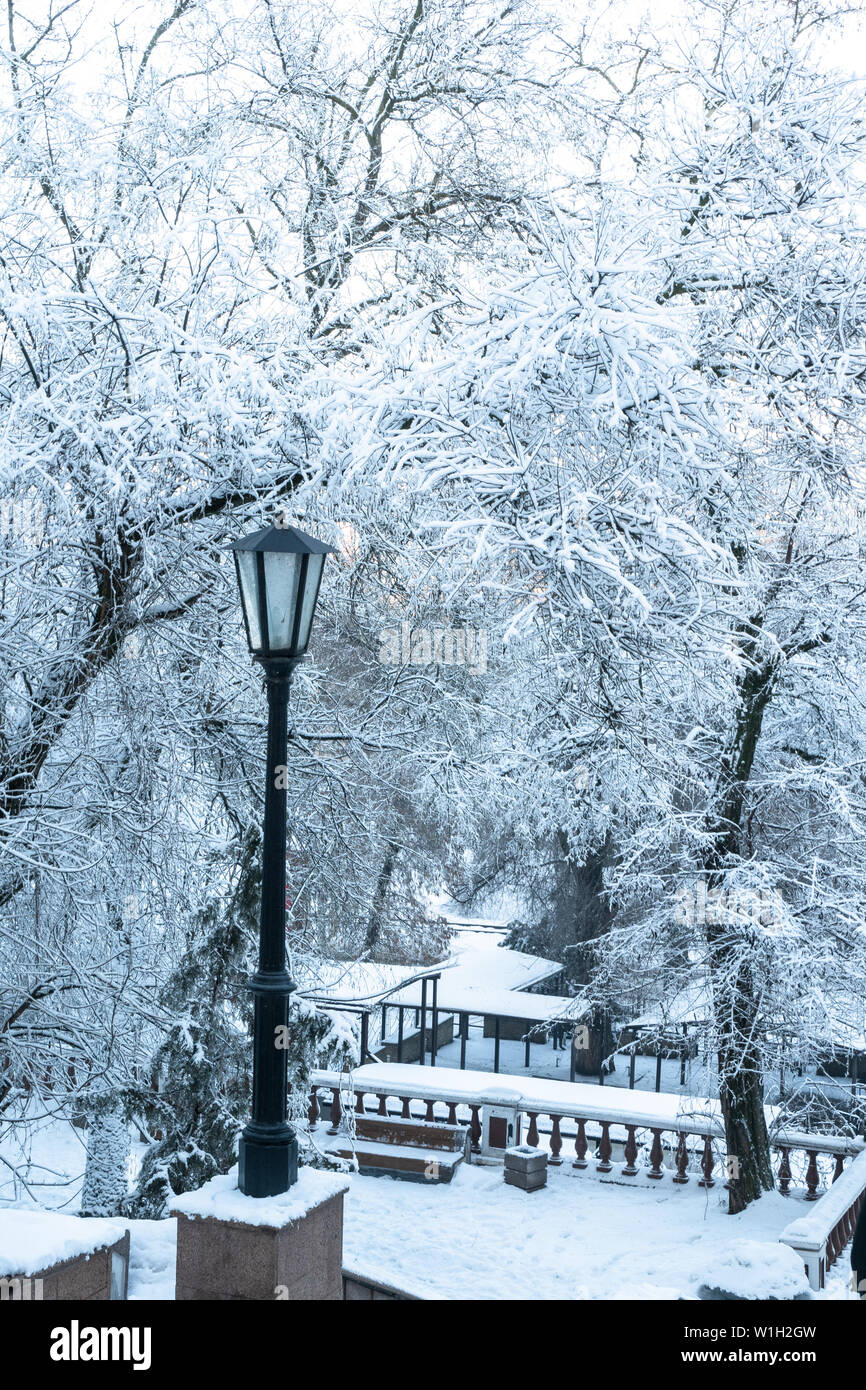 beautiful street lamp in snowy winter. Vintage street lamp in the snowy ...