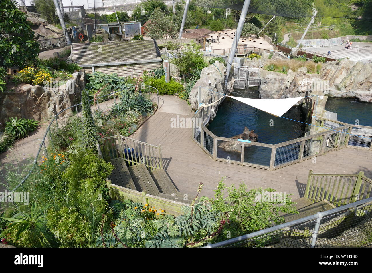 Coastal zoo torquay hi-res stock photography and images - Alamy