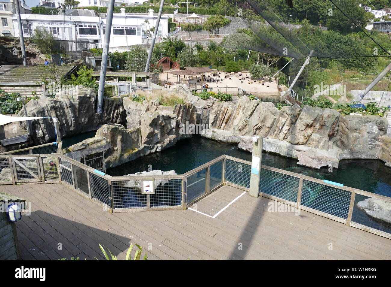Living coast, Torquay, Devon, U.K Stock Photo - Alamy