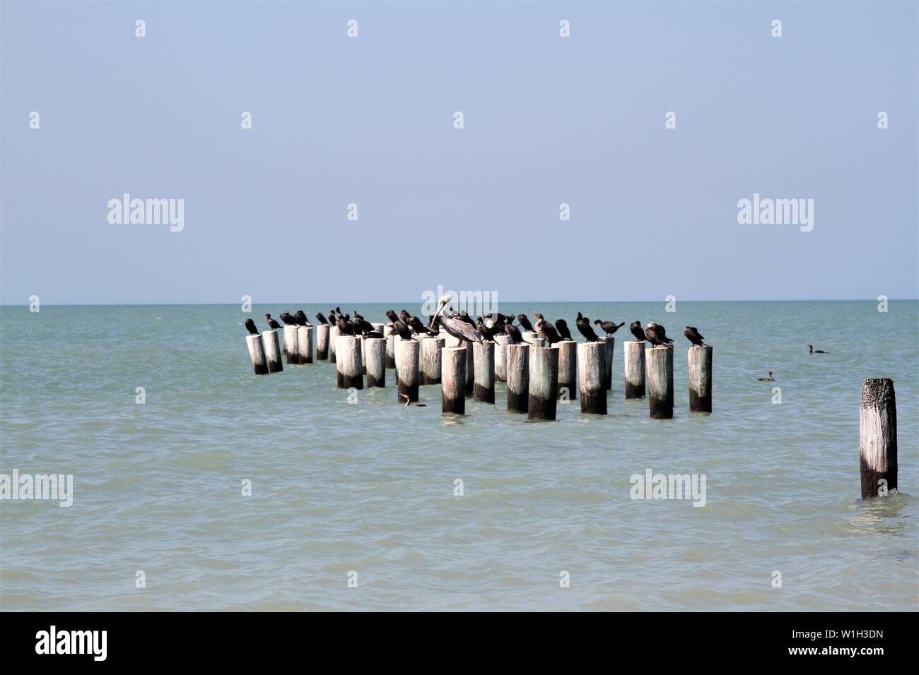 Ocean poles hi-res stock photography and images - Alamy