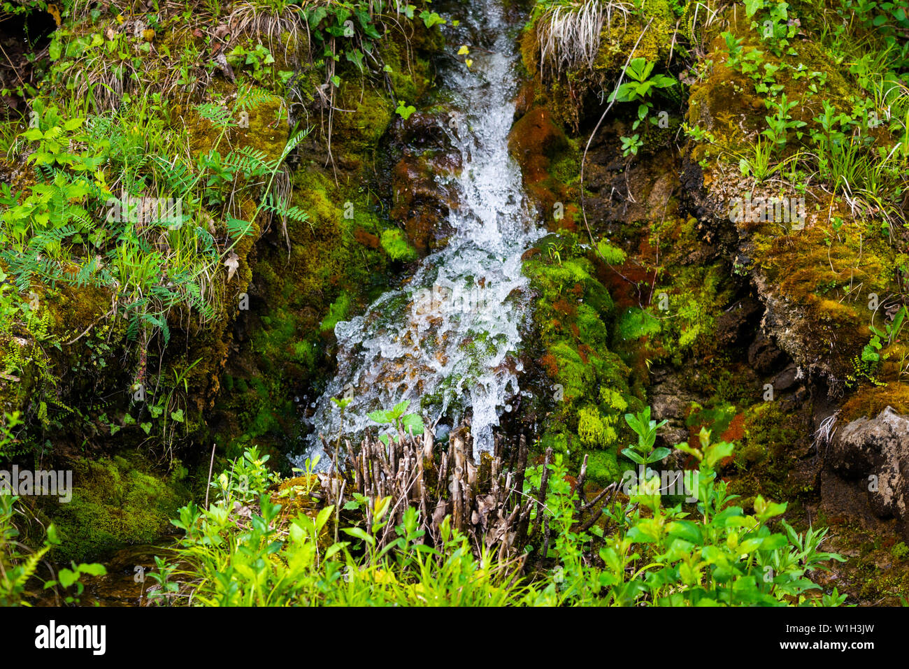 Waterfall green forest river stream natural landscape Stock Photo - Alamy