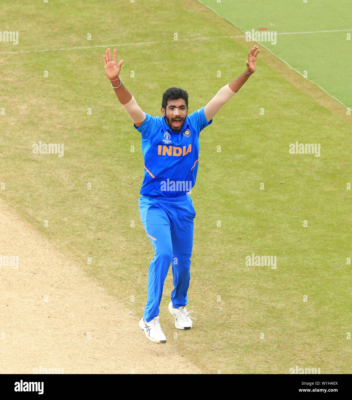 Cricket bowler appeal hi-res stock photography and images - Alamy