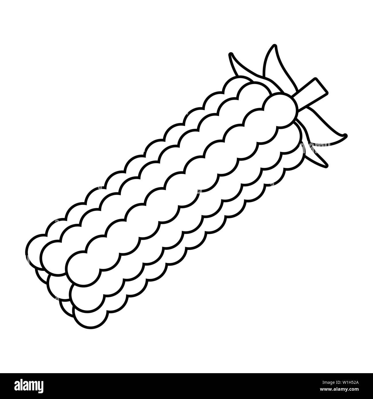 Corn design, Vegetable organic food healthy fresh natural and market ...