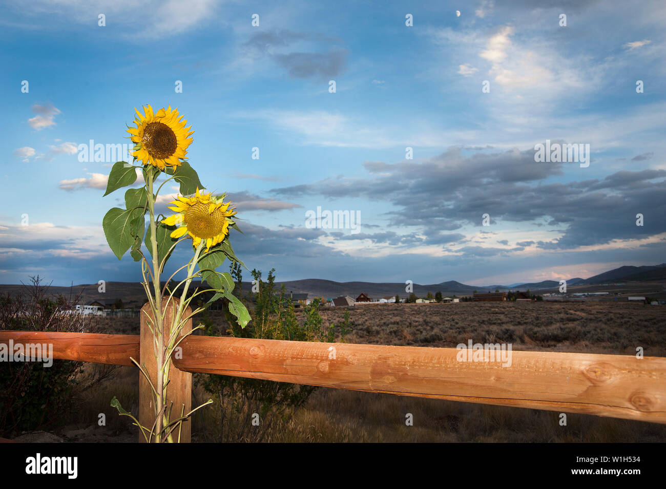 Angry sky hi-res stock photography and images - Alamy