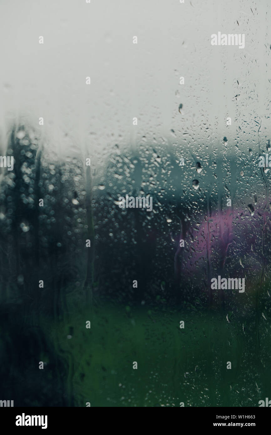 Large windshield hi-res stock photography and images - Alamy